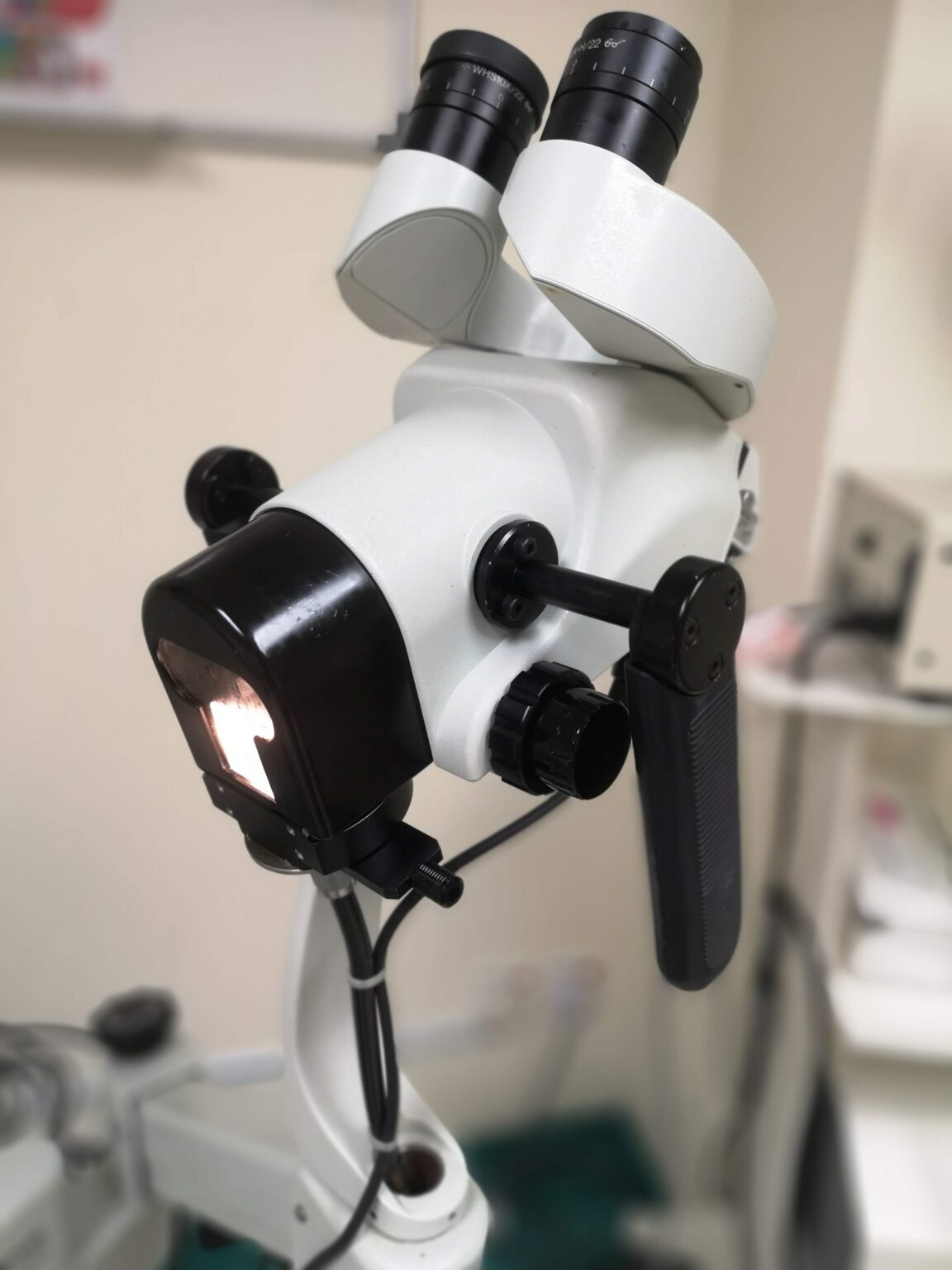 pap smear – Women's Health by Dr Lee Say Fatt