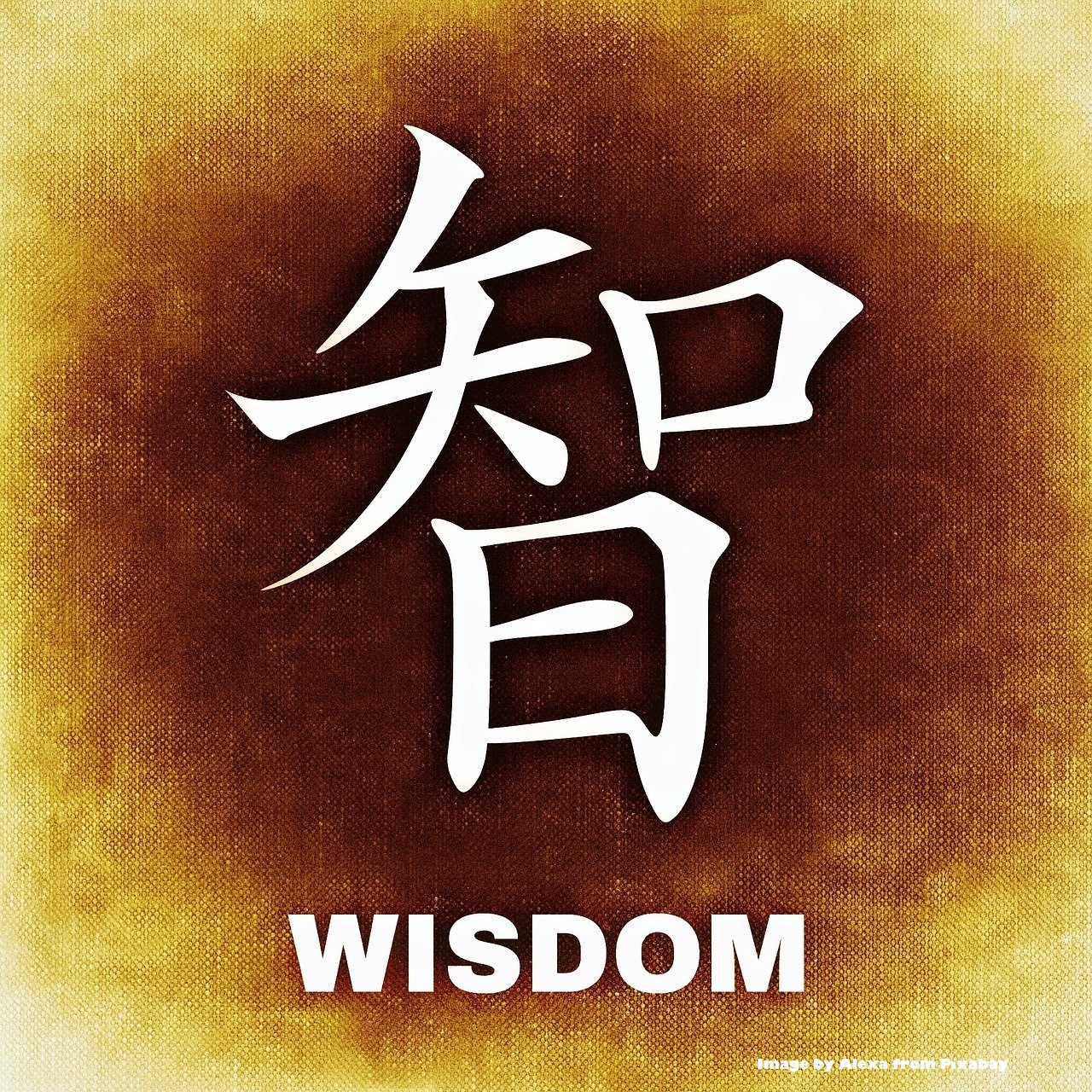 Wisdom versus Intelligence – Women's Health by Dr Lee Say Fatt